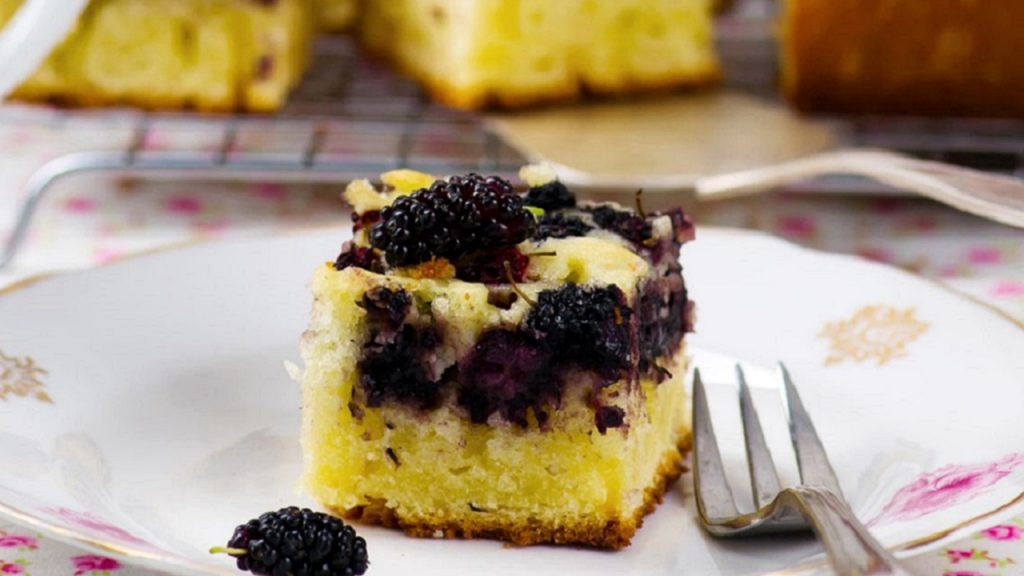 Qanı Təmizləyən Qara Tut İlə Piroq Resepti | Evdar.az